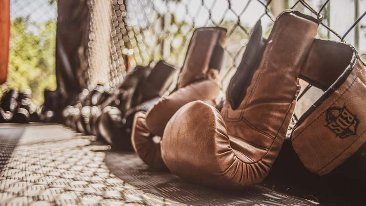 Becerra Boxing Mexico